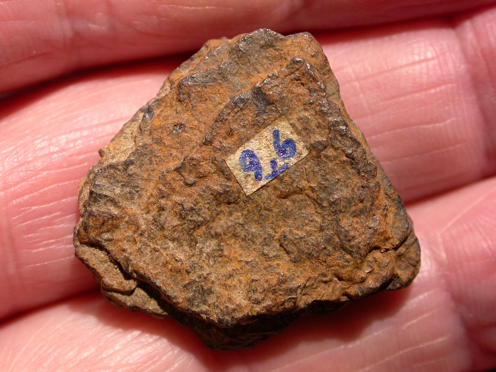 Meteoriti francomete.com scambio meteoriti, rarità