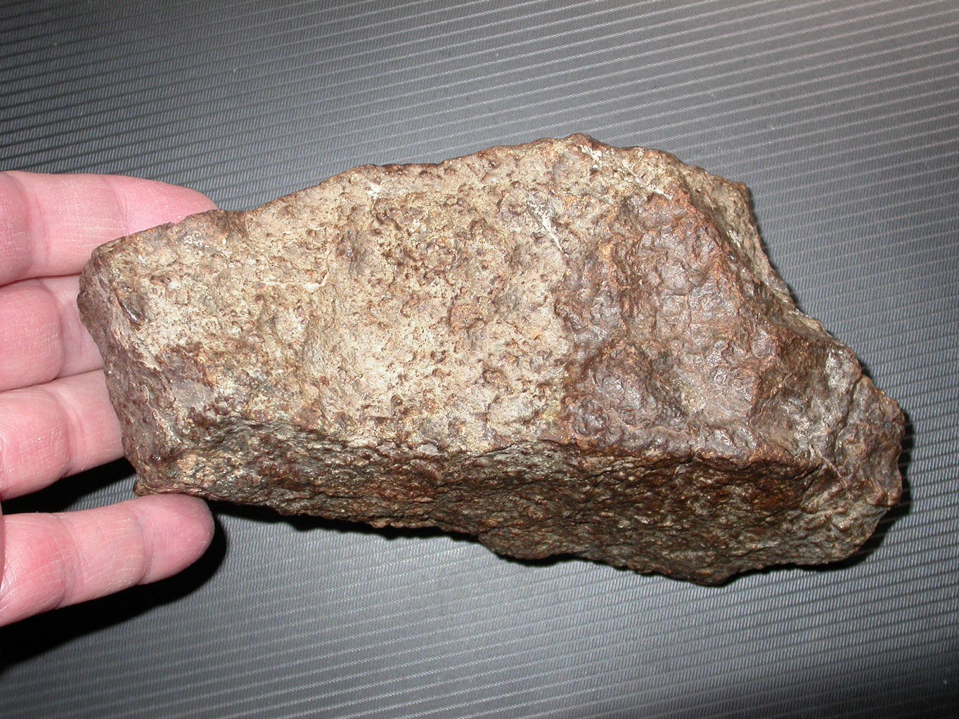 Documento senza titolo