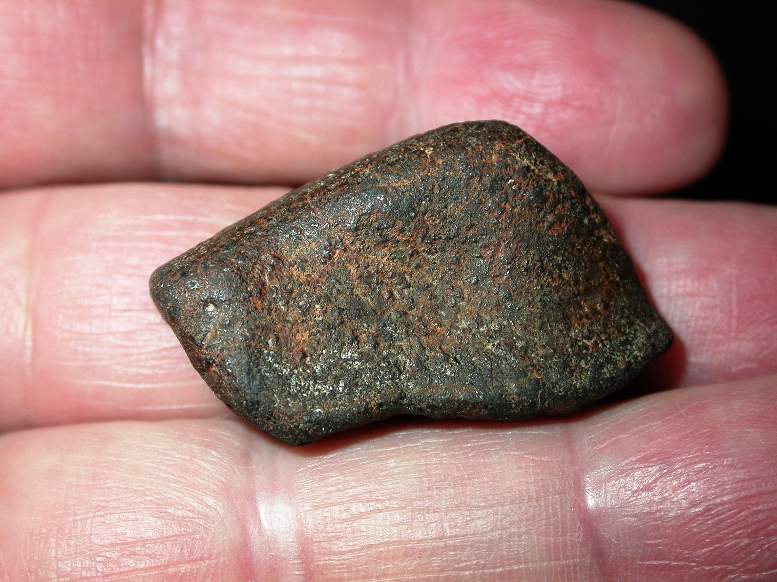 Documento senza titolo